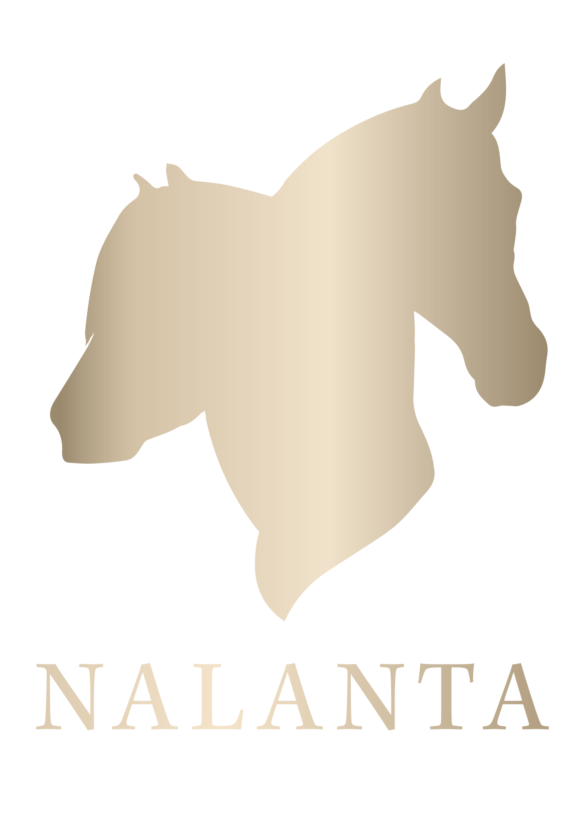 Merchandise - Nalanta Equipment