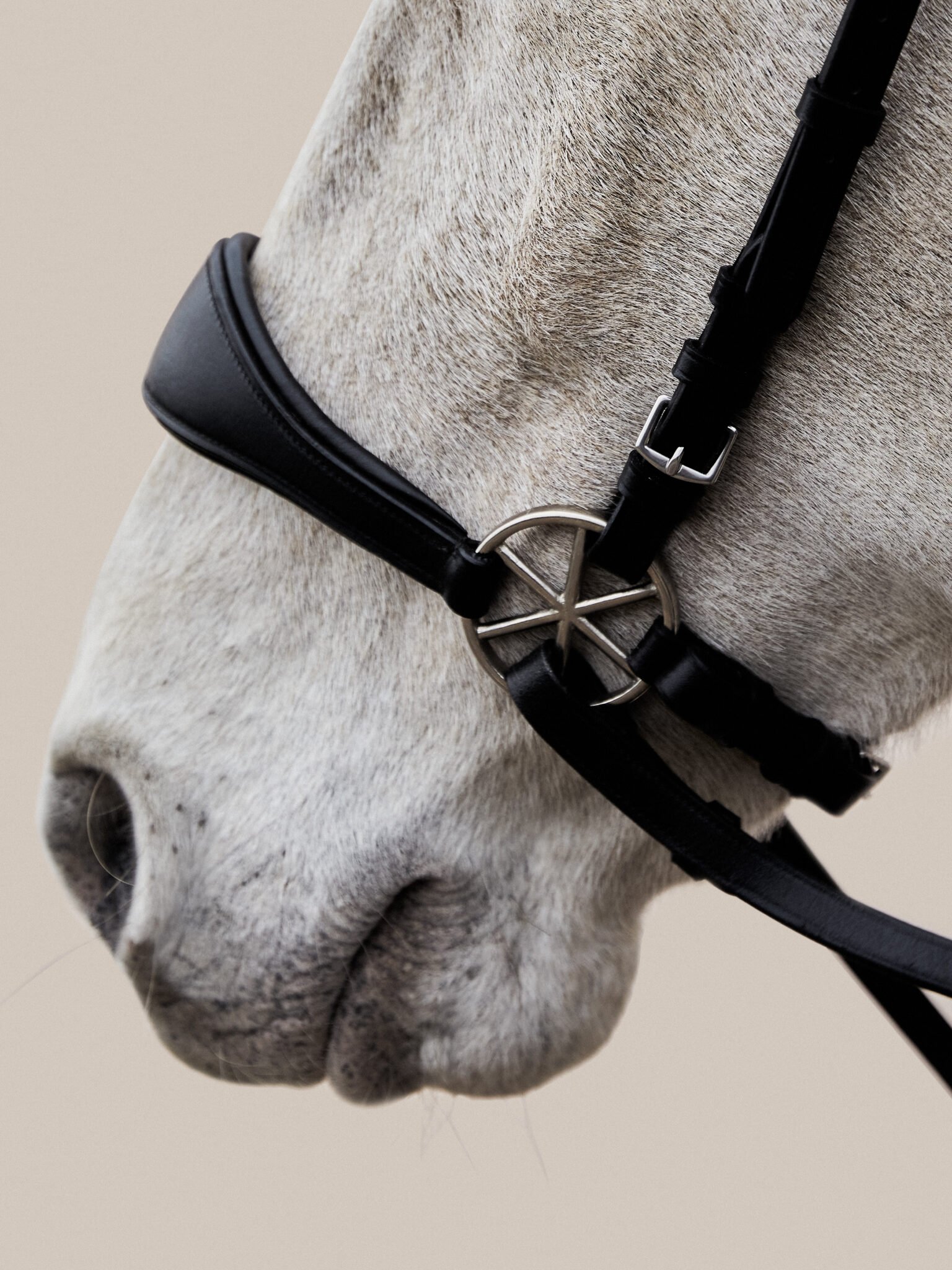 Nalanta bitless bridle by Jesse Drent - Nalanta Equipment