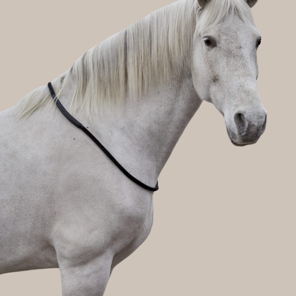 Neckrope Nalanta 'Be One' - Nalanta