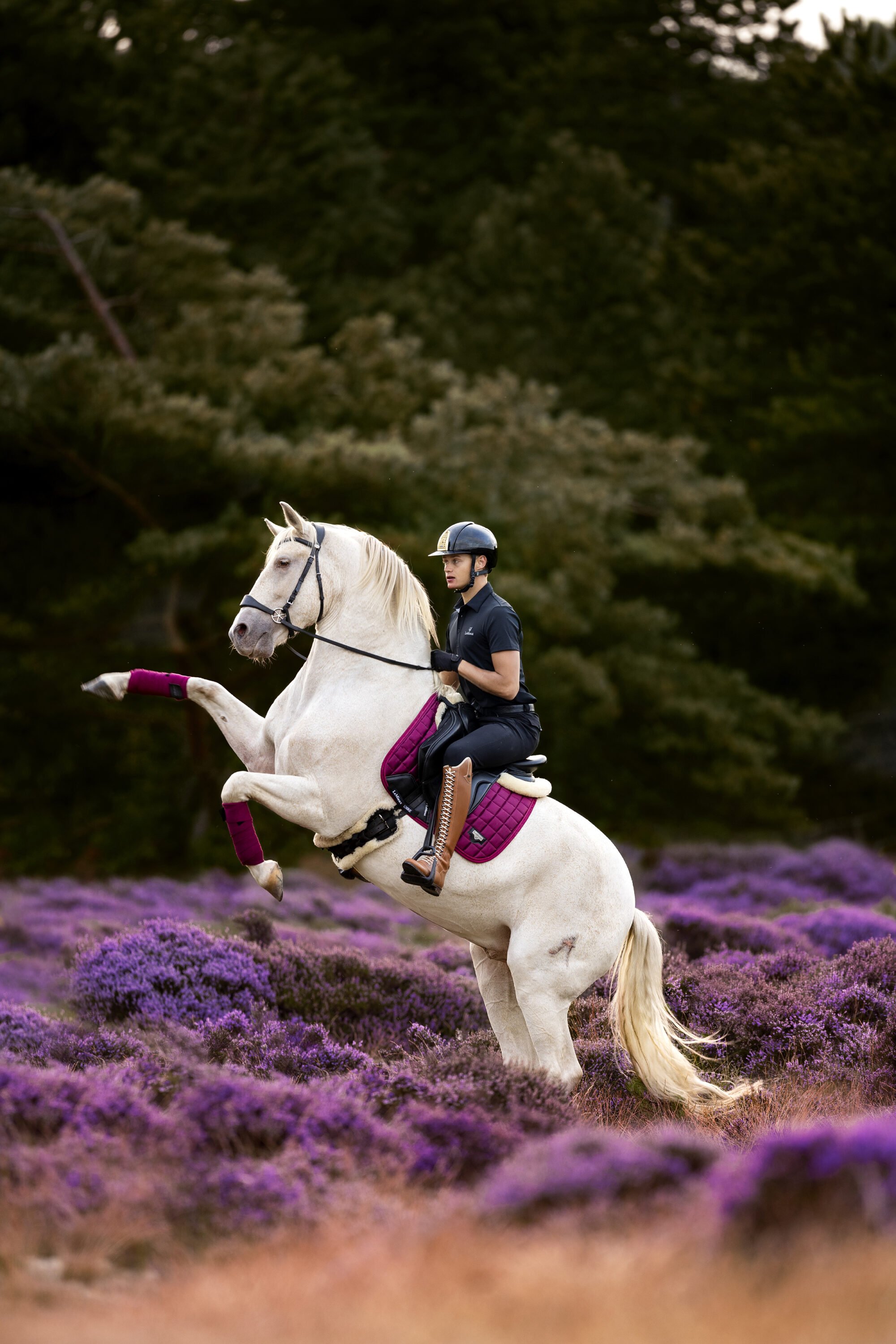 Nalanta bitless bridle by Jesse Drent - Nalanta Equipment