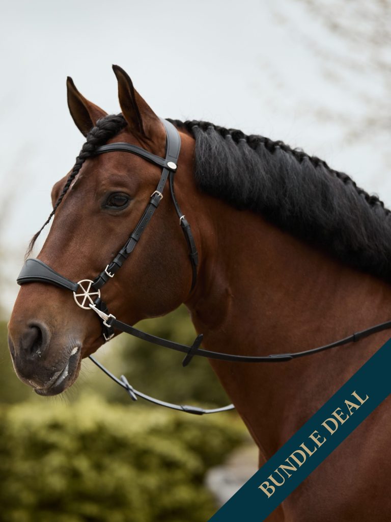 Bridle Bundle | Bridle + Clip on Reins - Nalanta Equipment